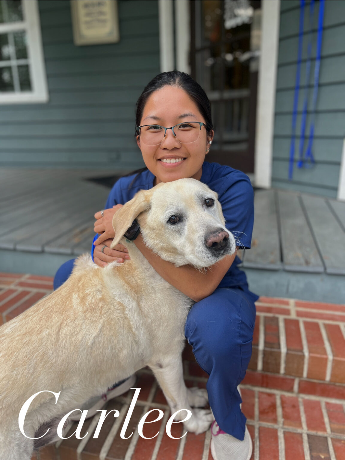Meet the Team at Bradfordville Animal Hospital