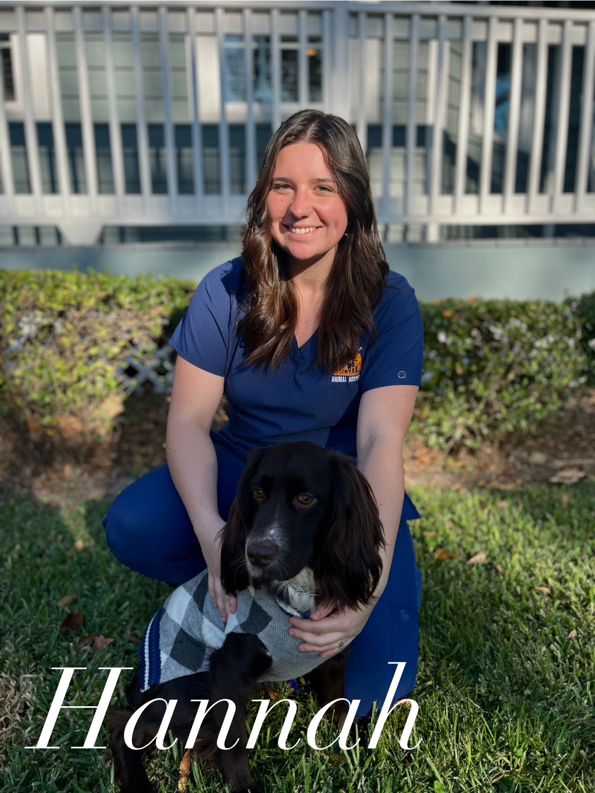 Meet the Team at Bradfordville Animal Hospital