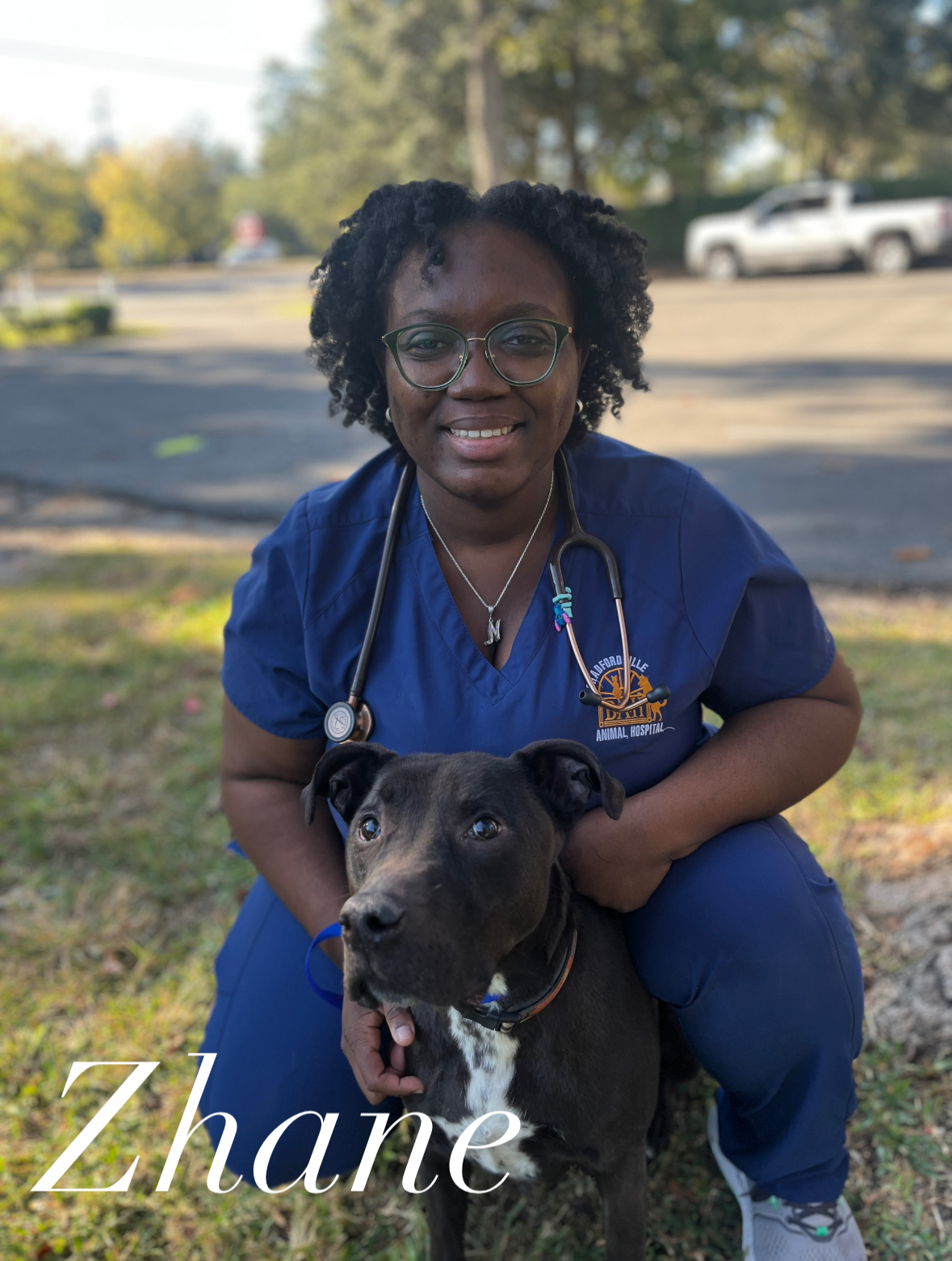 Meet the Team at Bradfordville Animal Hospital